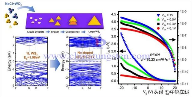 Application of P-Type Tungsten Disulfide Transistor in Photodetector ...