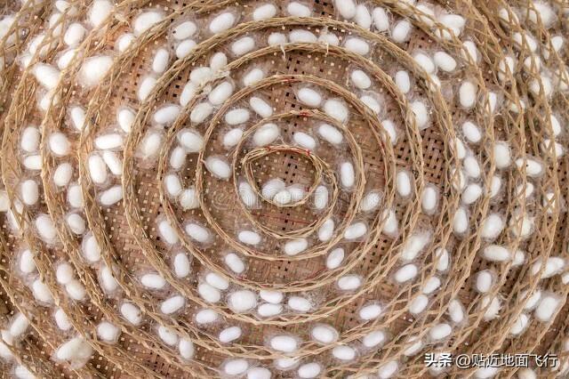 Descartes and the Information Cocoon: Accessing the Real World - iNEWS