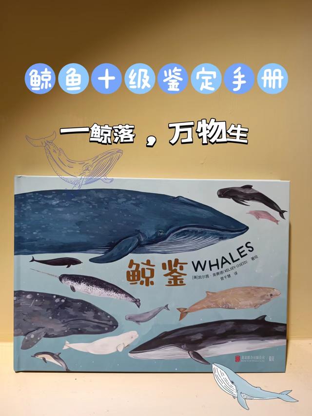 It turns out that the whale fall is the last tenderness that the whales ...