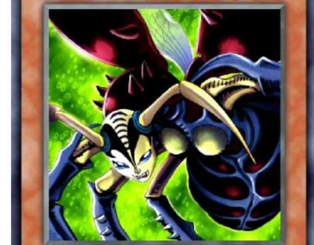 Yu-Gi-Oh bonus card insect queen - iNEWS