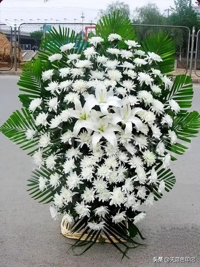 About Zhang Qinglin - iNEWS