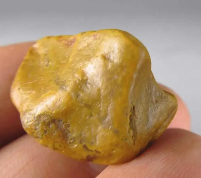 The "brother stone species" that novices can't tell apart - iNEWS