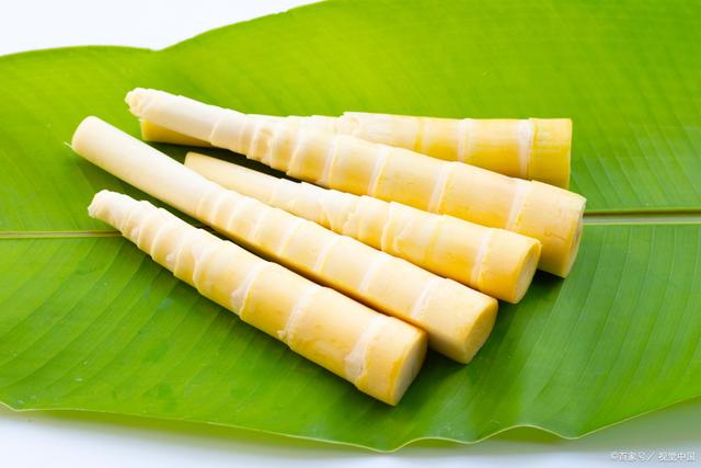Roasted spring bamboo shoots - a new choice for spring health food! - iNEWS
