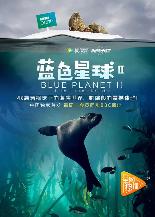 Let the baby walruses have a home - the movie "Blue Planet Season 2 ...