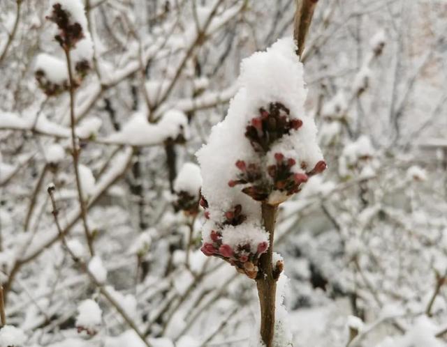 Lie Zi on Man and Beasts - iNEWS