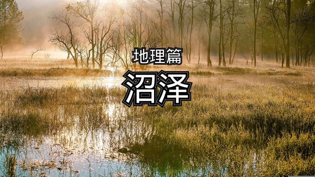 Encyclopedia - Geography - Geomorphology - Introduction to Swamps - iNEWS