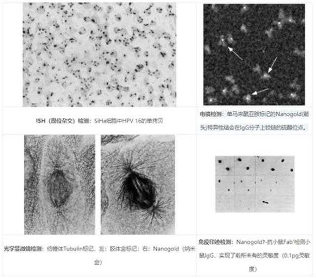 Nanoprobe Parker Bio Gold Nanoparticle Application & Research Tool - iNEWS