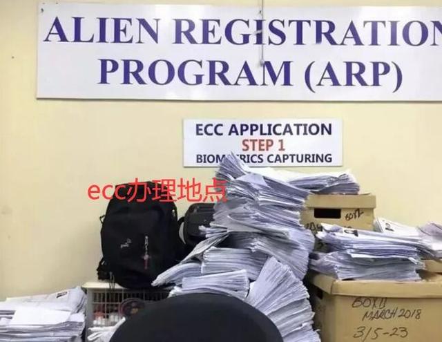 What is the size of the photo for ECC customs clearance in the ...