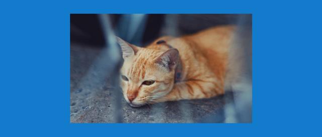 Ways to "kill" mental friction and get rid of self-blame - iNEWS