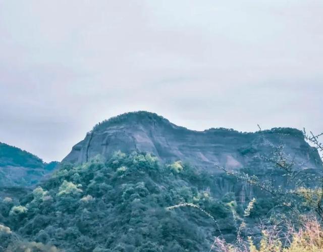 retribution!The consequences of licentiousness are tragic, and the ...