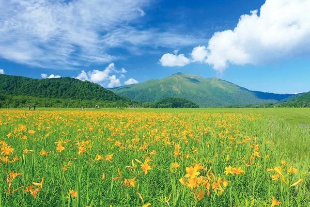 Mountaineering, cycling, spring outing... Returning to the embrace of ...