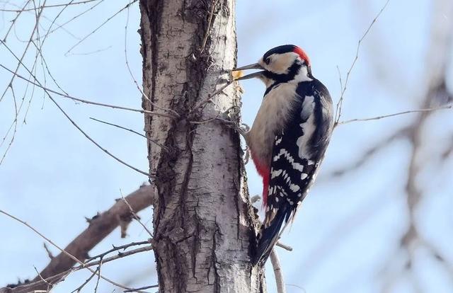 Issue 1959: Let's check the reference book - iNEWS