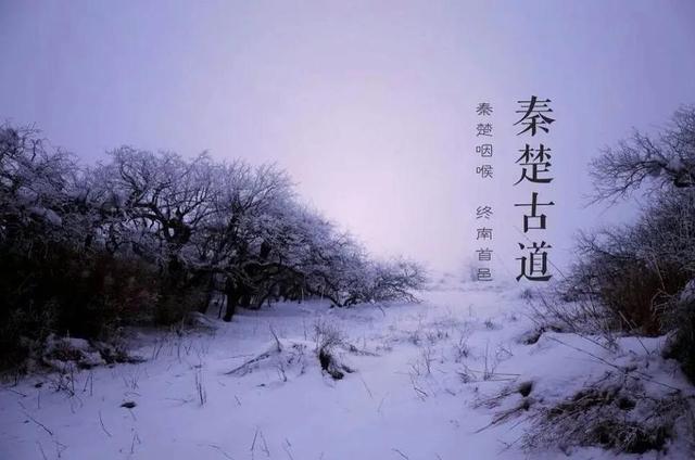 Donkeys in Qinling Mountains - 20140222 Qin-Chu Ancient Road Camping ...