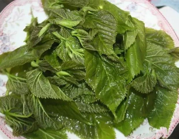 As the old saying goes, "Eat 5 delicacies during the Qingming Festival, and you will be happier ...