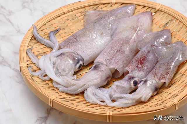 What are the common practices of squid?Do you know how delicious squid ...