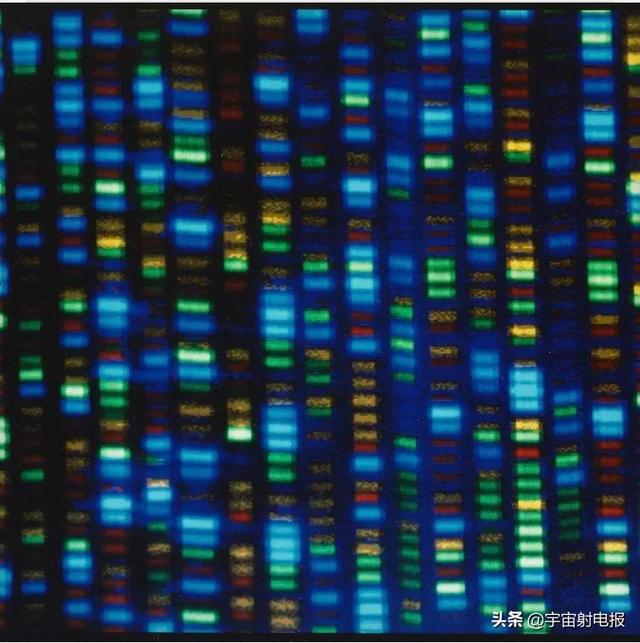 The first complete human genome sequence - iNEWS