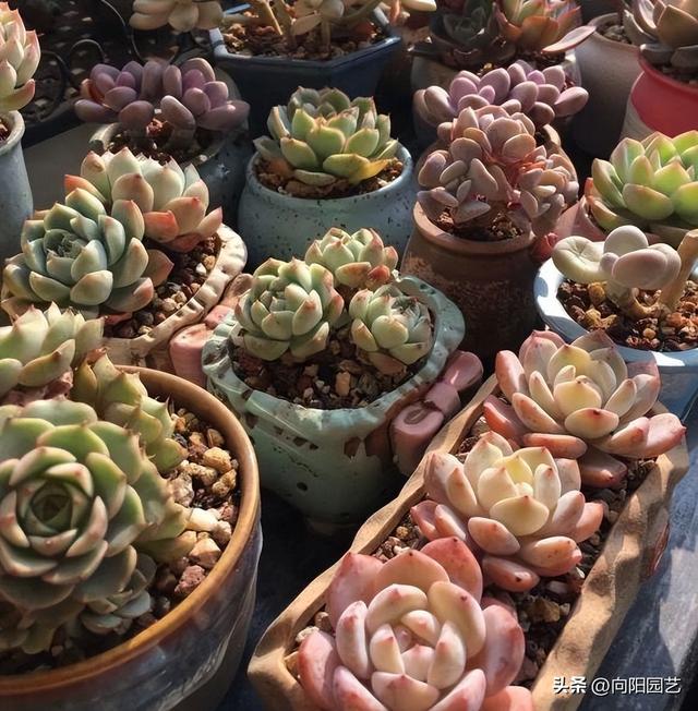 Particles are divided into two types: "soft and hard". Hard particles ...