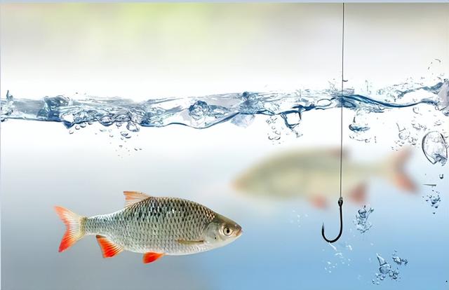 "Block" is a flaw in fishing. There are two ways to judge it, and there ...