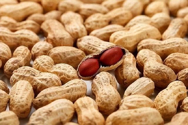 Teach you the nutritious way to eat peanuts, this is the first time I ...