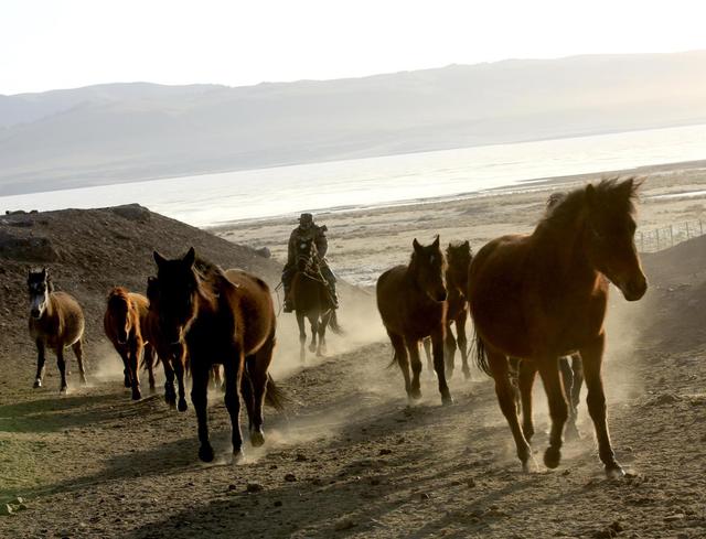 A thousand-year-old horse farm under the Qilian Mountains to see the ...