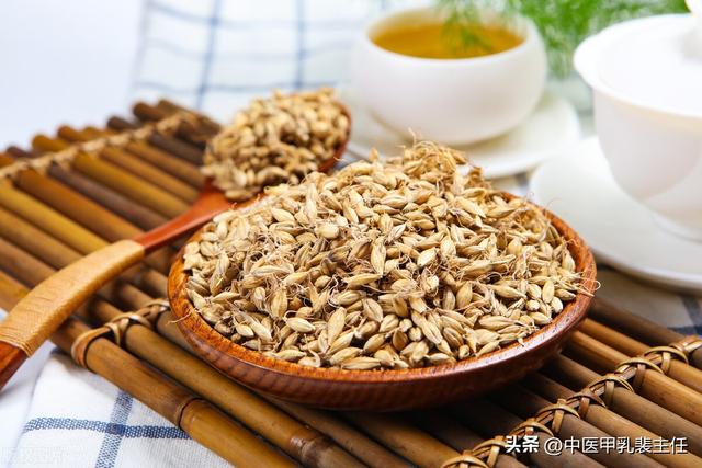 A handful of malt teaches you to easily get rid of nodules on your body ...