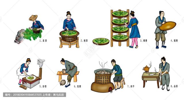 The history of tea production in China, the emergence, development and ...