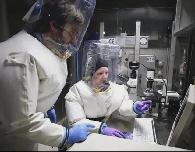 The "Witchy Land" of the Super Virus Reveals the Past and Present of ...