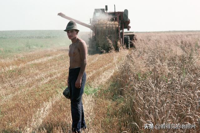 Old photo 1991 Ukrainian farmer working hard on a state farm in Ukraine ...