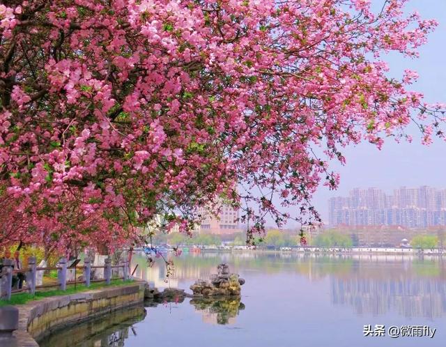9 most beautiful moments in spring - iNEWS