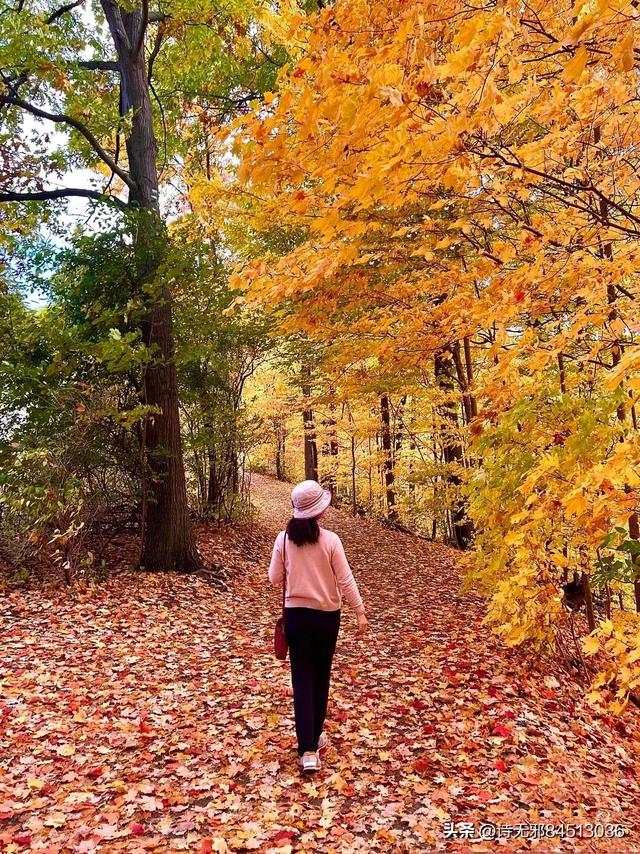 Like a dream, chasing autumn - iNEWS