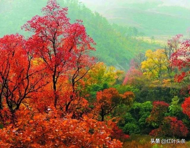 Qin music (self-created music) 2. Nine pieces - iNEWS