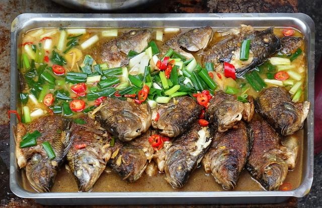 "Seven Absolutes" Craving Fish - iNEWS