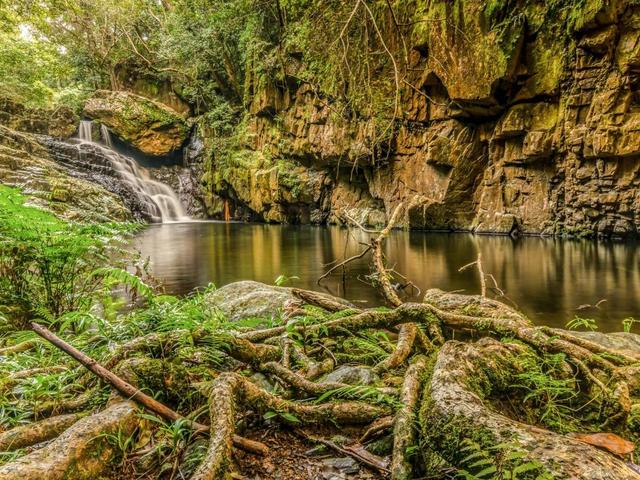 Dreamy Coral Sea + Rainforest Adventure, Cairns, Australia can't be ...