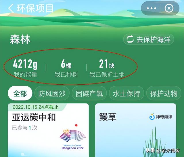 What is the use of Alipay Ant Forest Energy? - iNEWS