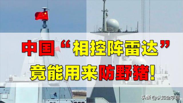 Can the Chinese destroyer system be used to prevent wild boars?How ...