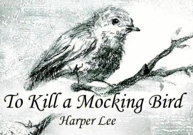 To Kill a Mockingbird: Get to know a man really, get in his shoes, and ...