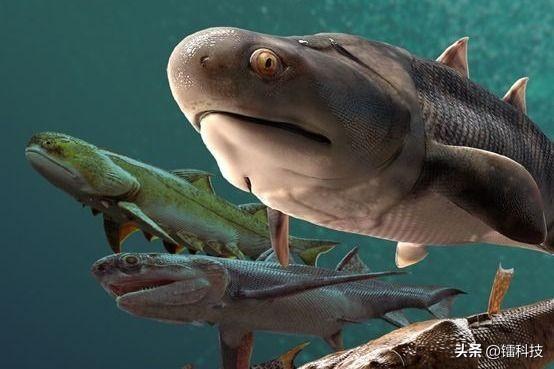 Scientists confirm that humans evolved from fish: it took nearly 500 ...