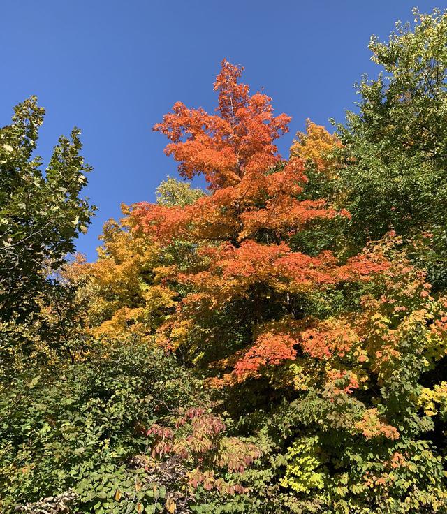 Eastern and Western Wei and Southern Liang: Chaotic New Three Kingdoms ...