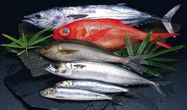 All the fish are treasures - iNEWS