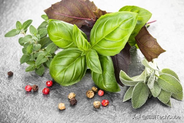 High value-added sesquiterpenoid spice cell factory; biomimetic enzyme ...