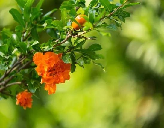 With the arrival of Lixia, the ancestors summed up three major ...