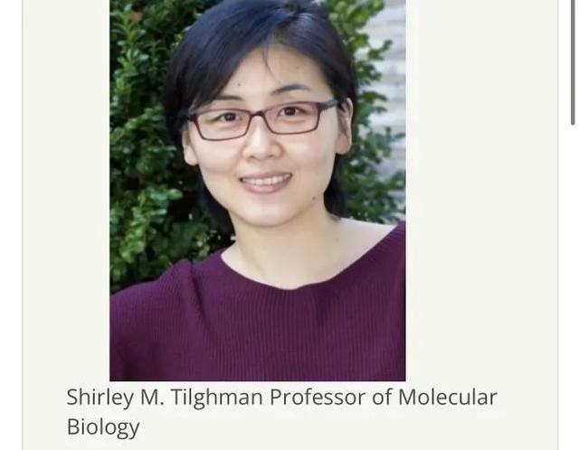 Will Professor Yan Ning's return from the United States trigger a wave ...