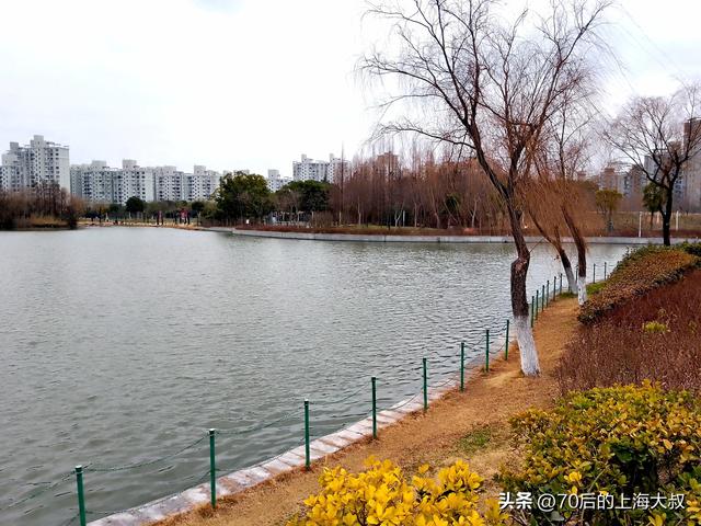 Visit Shanghai Daning Lingshi Park on February 5th, and take pictures ...