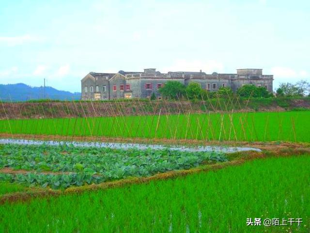 Walking on Wuyi (Datong River in Taishan Chapter) - iNEWS