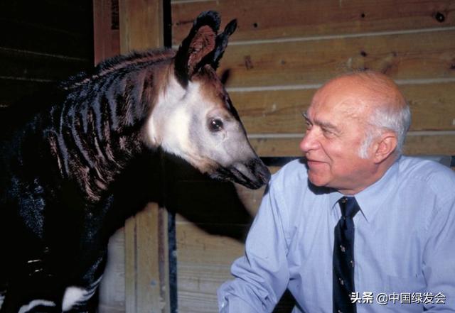 George Raab: Dedicating his life to modern animal protection - iNEWS