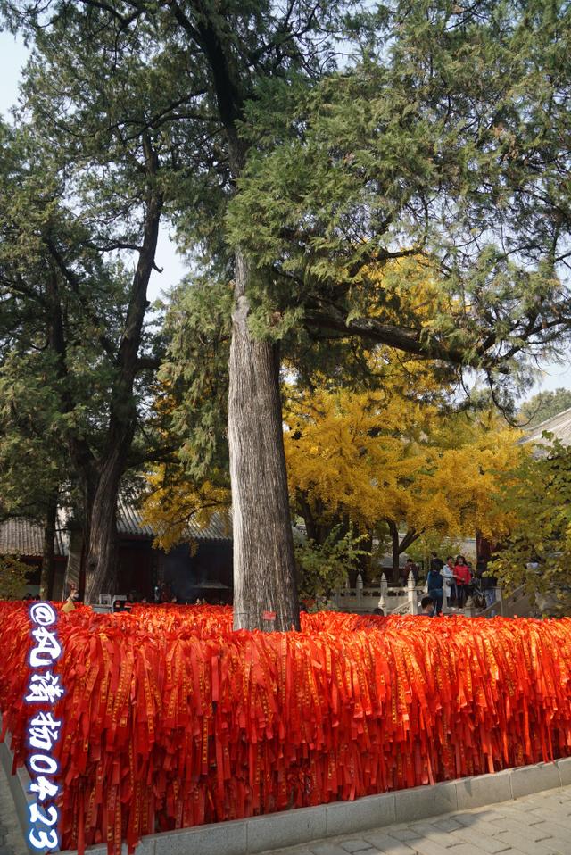 Buddha Enlightenment in Hongluo Temple (22-295) - iNEWS