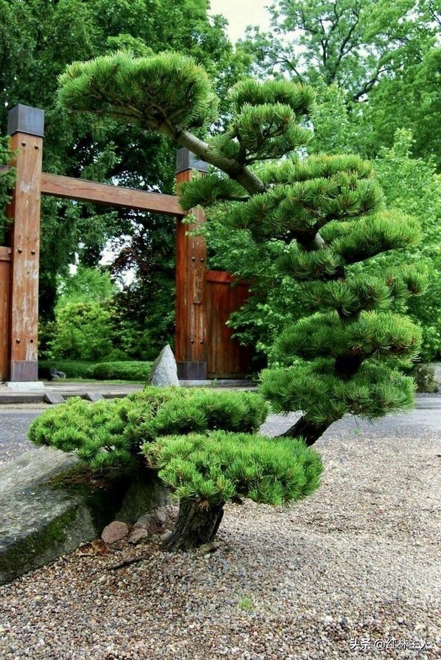 Honglin Wudao "Han Feizi - Yu Lao" Chapter 12 National Instruments - iNEWS