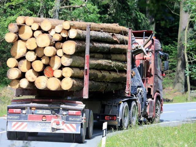 Russia's timber crisis is battering Australia's struggling construction ...