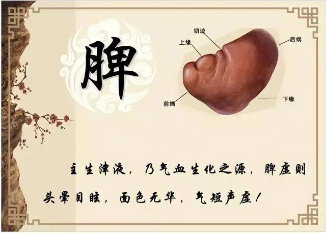 There are three common cases of spleen deficiency, old Chinese medicine ...