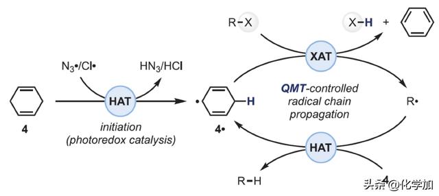 Science utilizes photocatalytic halogen atom transfer and group ...